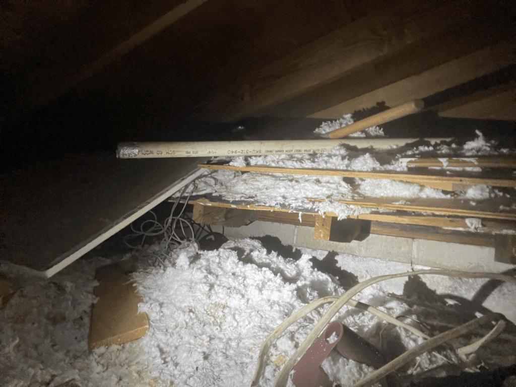 Solving the Mystery: Noises in Your Attic and How Professionals Can ...